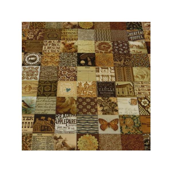 30cm以上10cm単位で販売(表示価格は10cmあたりの価格です。)