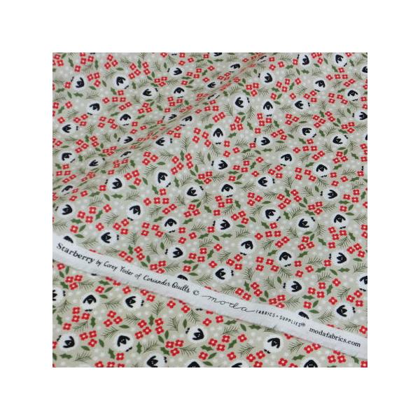 30cm以上10cm単位で販売(表示価格は10cmあたりの価格です。)