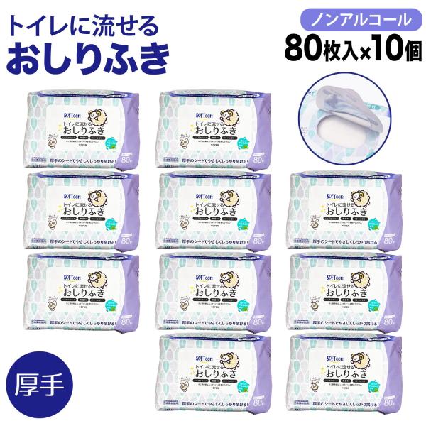 【送料無料】【仕様】色:白サイズ:1シート140×200mm入数:800枚(80枚×10個)成分:EDI純水、アロエエキス基布素材:パルプ、レーヨン特徴:ノンアルコール、無香料、パラベンフリー生産国:中国 / 製造元:株式会社シンズ(全国マ...