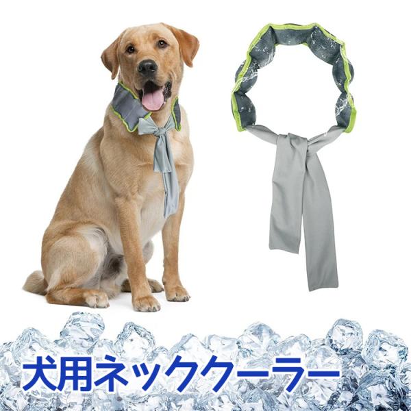 商品名：犬用ネッククーラー 冷感タオル素材：春亜紡糸仕様：竹節紗 7 番手吸水時間：21-25 秒サイズ：約 35×9cm重量：約 45gカラー：グレー × グリーン、グレー × ブルー、パープル、ブルー特長：急速冷却、繰り返し使用可用途：...