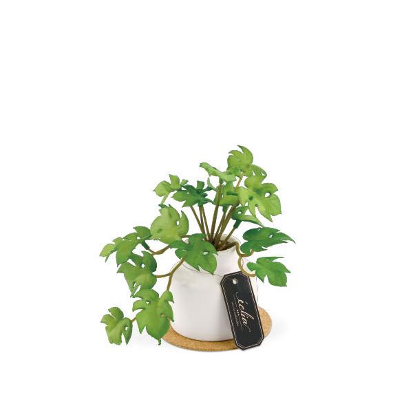 シンプルで長く愛せる人気の植物が揃うグリーンインテリア置くだけ、空気をキレイにするアーティフィシャルグリーン　 まるで本物のように繊細に作られた人工の観葉植物。水やりなどのお世話いらずでお手軽にグリーンのある暮らしが叶います。CT触媒加工を...