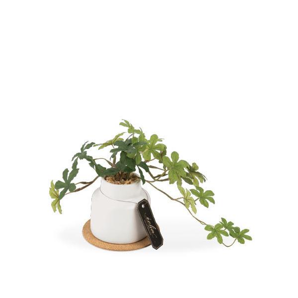 シンプルで長く愛せる人気の植物が揃うグリーンインテリア置くだけ、空気をキレイにするアーティフィシャルグリーン　 まるで本物のように繊細に作られた人工の観葉植物。水やりなどのお世話いらずでお手軽にグリーンのある暮らしが叶います。CT触媒加工を...