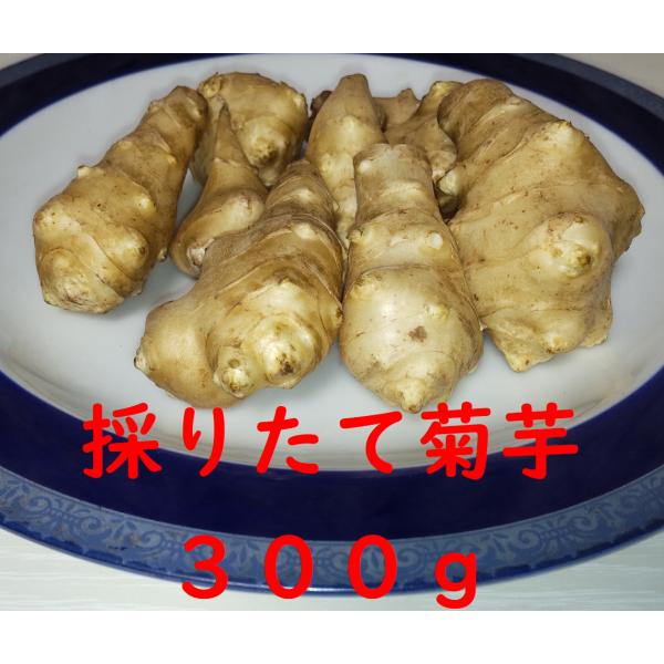 6年間農薬、化学肥料未使用の圃場で栽培しました。ご注文後、収穫して翌日までに発送しますので、新鮮です! 菊芋には水溶性繊維のイヌリンが大量に含まれています。効果が高いので、お召し上がりの量は、1日20〜30g(約1個分)から初めて下さい。サ...