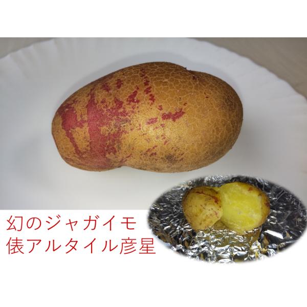 【発売日：2023年12月20日】6年間農薬、化学肥料未使用の圃場で栽培しました。品種は俵アルタイル彦星という名で、取り扱いの少ない希少品種です。外観は黄色地に赤い文様が入り、中身は黄色です。ほくほくの中に少しねっとり感があり、きめが細かく...