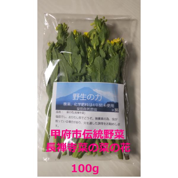 【発売日：2024年03月06日】新鮮な菜の花をお届けする為に、注文後収穫し収穫当日発送、翌日到着エリア(本州、四国)のみ販売します。(販売対象外エリア：北海道、九州、沖縄、島しょ部)　事前に発送メールを送りますので、到着しましたら、すぐに...