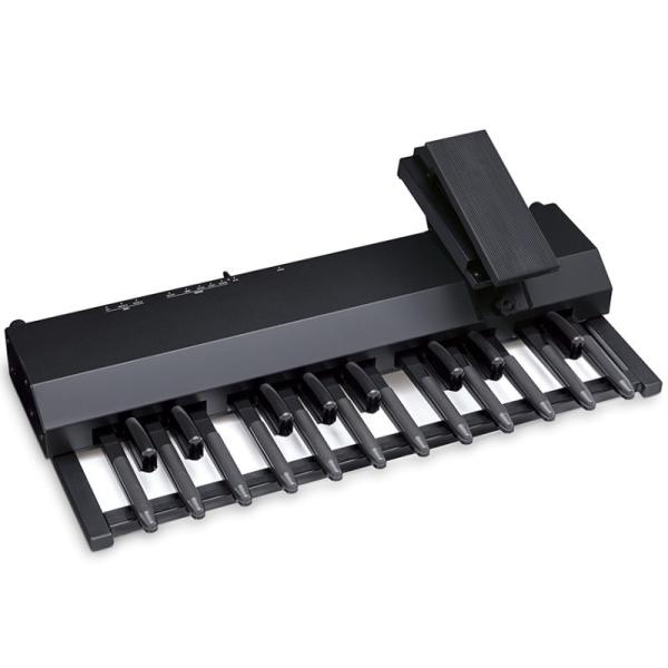 音源を内蔵したMIDIサウンドペダルボードです。外部のMIDI音源が無くてもベース楽器として単体で演奏することが可能。内蔵音色はELECTRIC ORGANやFINGERED BASSなど5種類搭載。すっきりとスタイリッシュなデザインで軽量...