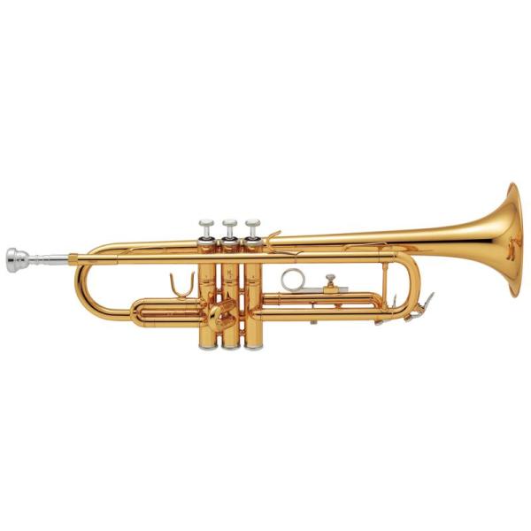 V.Bach TR-600 GL Bb管 トランペットVincent Bach1890年、ウイーンで生まれたヴィンセント・シュローテンバッハ（Vincent Schrotenbach）は壮麗なサウンドに惹かれてトランペットの演奏を始めます。...