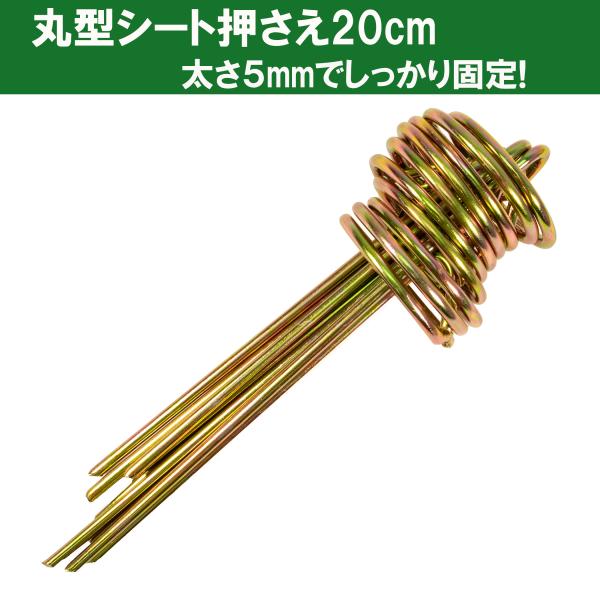 マルチシート・防草シート・人工芝・不織布など各種シートの固定に最適・太さが5mmあるので丈夫で長持ち、しっかり固定できる・先端を鋭利に加工してあるので、地面に打ち込みやすい・デッパリがあるので、抜き差しも楽々・メッキ加工により耐久性を高めて...