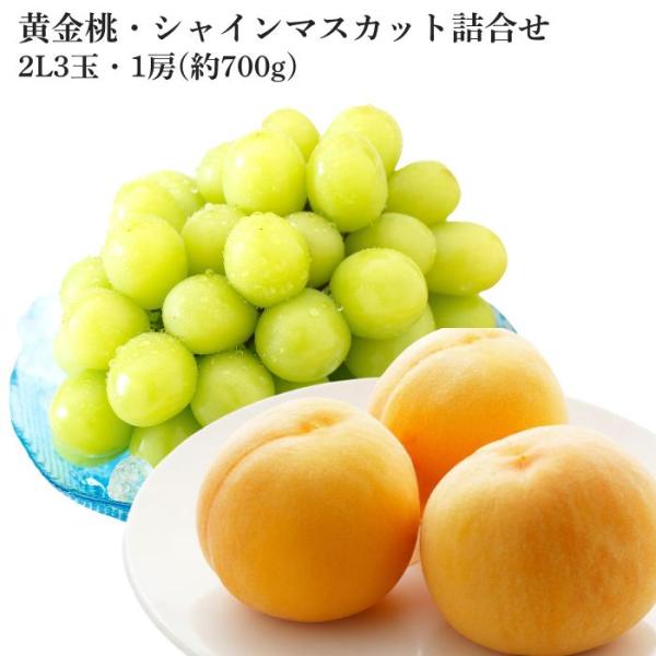商品内容：岡山県産 黄金桃 3玉（2Lサイズ）、シャインマスカット1房（約700g）賞味期限：デリケートな商品ですので、涼しいところに保管していただき、お早めにお召し上がりください。≪お届け日のご指定を承れません≫天候や生育状況により、収穫...