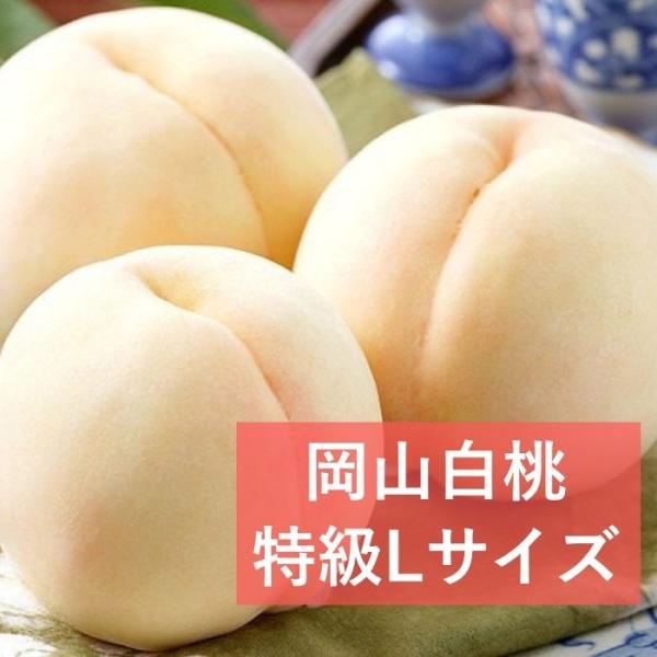 商品内容：岡山県産 岡山白桃 Lサイズ特級 5玉入 1玉約270〜285g賞味期限：繊細なため、涼しいところに保管していただき、熟れた順番にお早めにお召し上がりください。≪桃はお届け日のご指定を承れません≫天候や生育状況により、収穫量が異な...