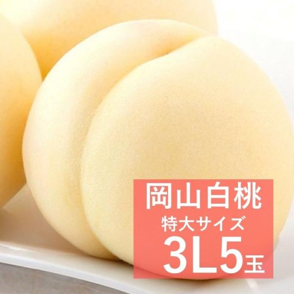 商品内容：岡山県産 岡山白桃 3Lサイズ 5玉入 1玉約335〜400g前後賞味期限：繊細なため、涼しいところに保管していただき、熟れた順番にお早めにお召し上がりください。≪桃はお届け日のご指定を承れません≫天候や生育状況により、収穫量が異...