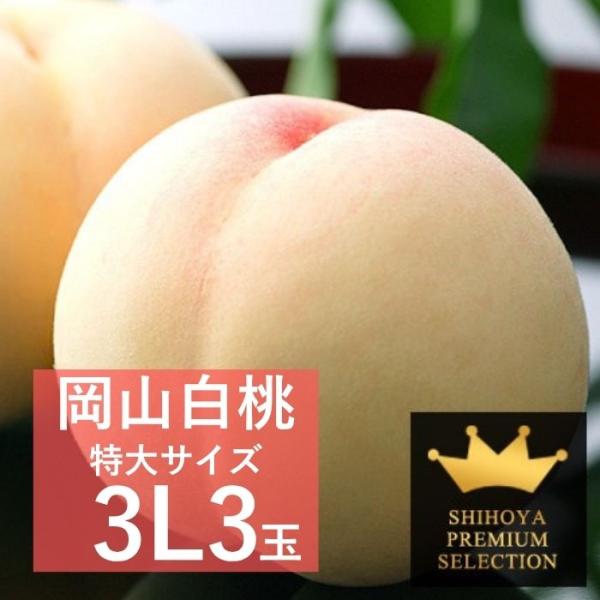 商品内容：岡山県産 岡山白桃≪光センサー選別≫3Lサイズ 3玉入 1玉約335〜400g前後賞味期限：繊細なため、涼しいところに保管していただき、熟れた順番にお早めにお召し上がりください。≪桃はお届け日のご指定を承れません≫天候や生育状況に...