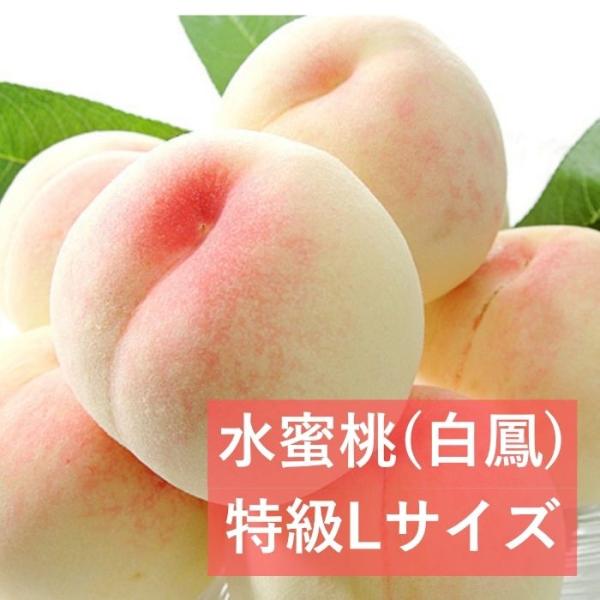 商品内容：岡山県産 水蜜桃（白鳳)Lサイズ特級 3玉入 1玉約270〜285g賞味期限：繊細なため、涼しいところに保管していただき、熟れた順番にお早めにお召し上がりください。≪桃はお届け日のご指定を承れません≫天候や生育状況により、収穫量が...