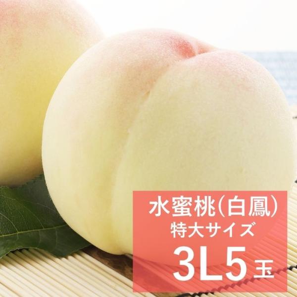 商品内容：岡山県産 水蜜桃(白鳳) 3Lサイズ 5玉入 1玉約335〜400g前後賞味期限：繊細なため、涼しいところに保管していただき、熟れた順番にお早めにお召し上がりください。≪桃はお届け日のご指定を承れません≫天候や生育状況により、収穫...