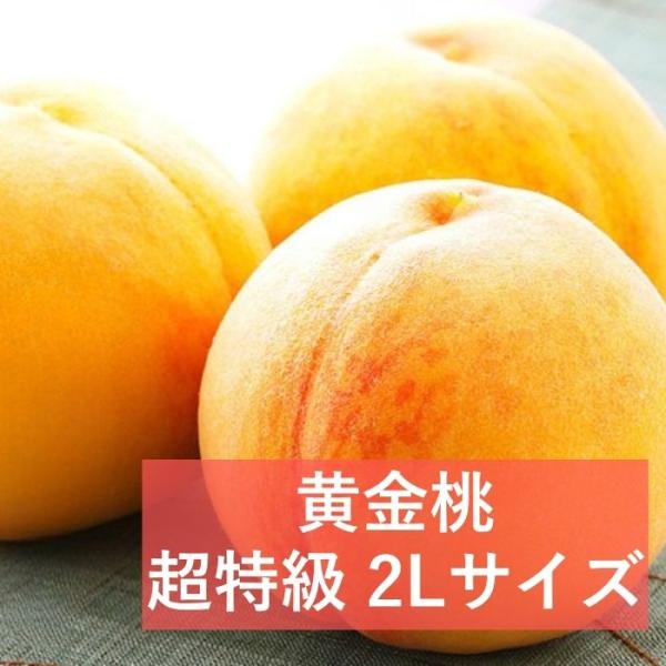 商品内容：岡山県産 黄金桃 2Lサイズ超特級 7玉入 1玉約305〜400g賞味期限：繊細なため、涼しいところに保管していただき、熟れた順番にお早めにお召し上がりください。≪桃はお届け日のご指定を承れません≫天候や生育状況により、収穫量が異...