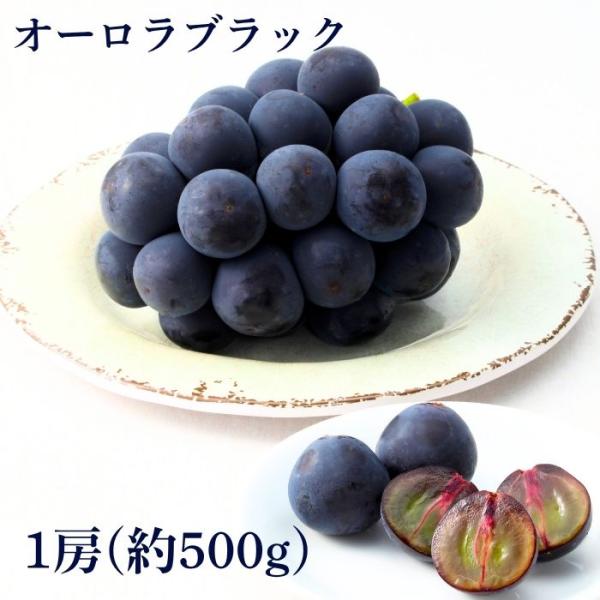 商品内容【送料無料】岡山県産オーロラブラック約500g（1房）賞味期限 すぐに召し上がられない場合は、冷蔵庫で保存し、３〜４日以内にはお召し上がりください。運送方法 ヤマト運輸クール便【オーロラブラックにつきまして】品種の特性上、お届け時に...