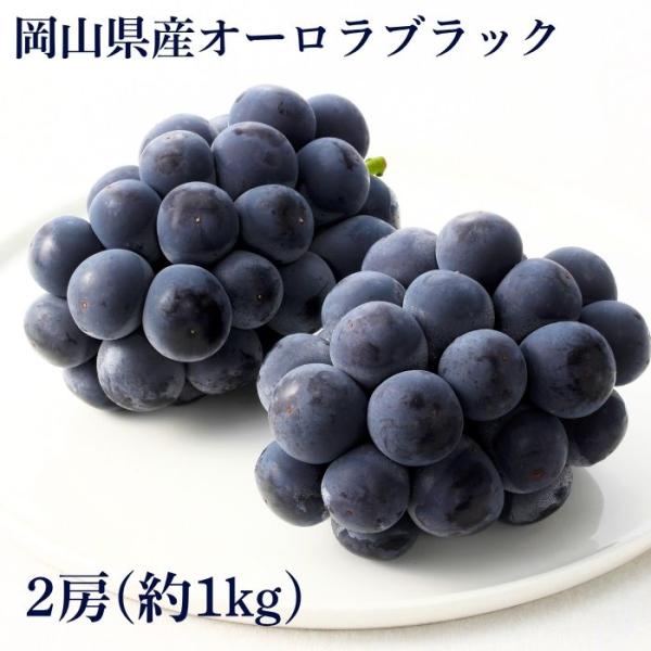 商品内容【送料無料】岡山県産オーロラブラック約1kg（2房）賞味期限 すぐに召し上がられない場合は、冷蔵庫で保存し、３〜４日以内にはお召し上がりください。運送方法 ヤマト運輸クール便【オーロラブラックにつきまして】品種の特性上、お届け時に軸...