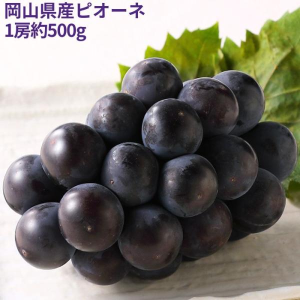 商品内容：岡山県産 ピオーネ 1房 約500g　賞味期限：すぐに召し上がられない場合は、冷蔵庫で保存し、３〜４日以内にはお召し上がりください。運送方法：ヤマト運輸クール便【ピオーネにつきまして】品種の特性上、お届け時に軸折れなどにより脱粒す...