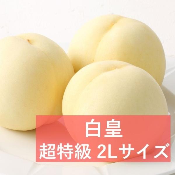 商品内容：岡山県産 白皇 2L超特級 6玉入 1玉約305g賞味期限：繊細なため、涼しいところに保管していただき、熟れた順番にお早めにお召し上がりください。≪桃はお届け日のご指定を承れません≫天候や生育状況により、収穫量が異なりますので、到...