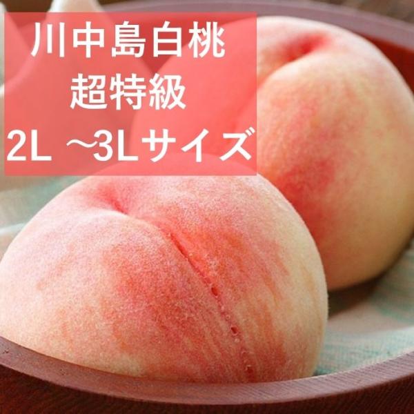 商品内容：岡山県産 川中島白桃 2L〜3Lサイズ超特級 12玉入 1玉約335〜400g賞味期限：繊細なため、涼しいところに保管していただき、熟れた順番にお早めにお召し上がりください。≪桃はお届け日のご指定を承れません≫天候や生育状況により...
