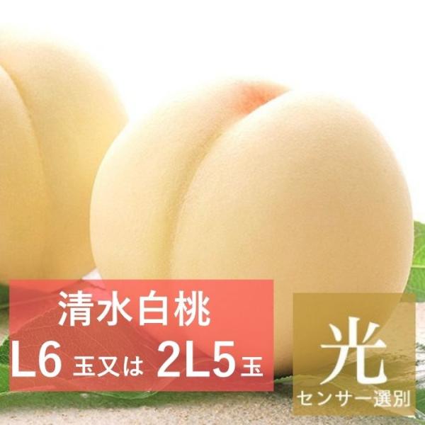 商品内容：岡山県産 清水白桃≪光センサー選別≫L(約270〜285ｇ)×6玉又は2L(約305ｇ)×5玉賞味期限：繊細なため、涼しいところに保管していただき、熟れた順番にお早めにお召し上がりください。≪桃はお届け日のご指定を承れません≫天候...