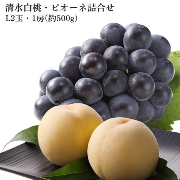 商品内容：岡山県産 清水白桃2玉（Lサイズ）、ピオーネ1房（約500g）賞味期限：デリケートな商品ですので、涼しいところに保管していただき、お早めにお召し上がりください。≪お届け日のご指定を承れません≫天候や生育状況により、収穫量が異なりま...