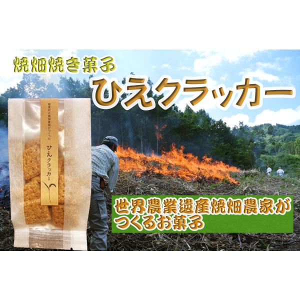 商品名　　焼畑農家がつくった　ひえクラッカー原材料名　ひえ（宮崎県椎葉村産）全粒粉、薄力粉　　　　　菜種油、自然海塩内容量　　40ｇ保存方法　直射日光・高温多湿を避けて保存賞味期限　60日製造者　　焼畑蕎麦苦楽部　　　宮崎県東臼杵郡椎葉村大...