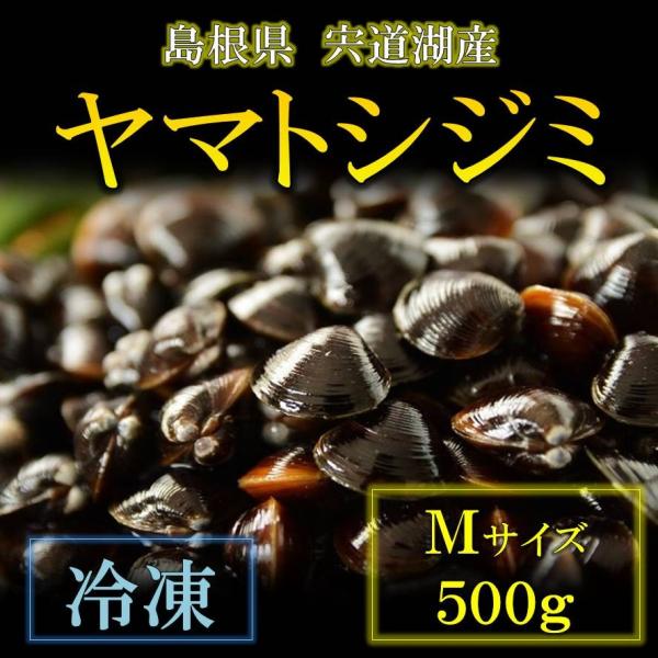 送料無料の商品とあわせ買いで送料無料にてご購入いただけます。単独、あわせ買いカテゴリ内の商品とのご購入は別途送料がかかります。島根県　宍道湖産　シジミ漁師が獲りたてのシジミをお届けします。Ｍサイズ　宍道湖産は濃厚なダシが出ます。大きめですの...