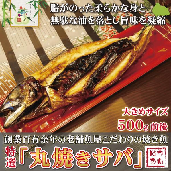 商品名：丸焼きサバ数量：500g前後原材料：サバ賞味期限：冷蔵（5℃以下）で3日間（出荷日含む）、冷凍（-18℃以下）の場合60日間保存方法：要冷蔵（５℃以下）発送方法：焼きたてをクール便にて発送します。製造：四季のおもてなし兼八
