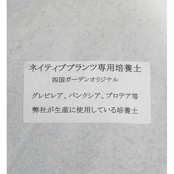 弊社がネイティブプランツの生産に使用している専用培養土。水持ち、水はけ、通気性、保肥力をしっかり確保した配合となります。※2025年2月出荷分より配合を改良しております。配合内容：硬質鹿沼土、赤玉土、軽石、パーライト、ハスクチップ、ピート土...