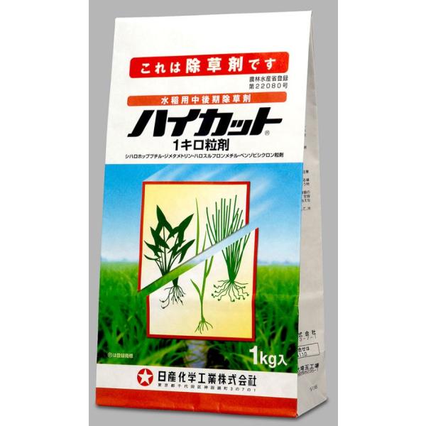 登録番号：農林水産省登録第 22080号