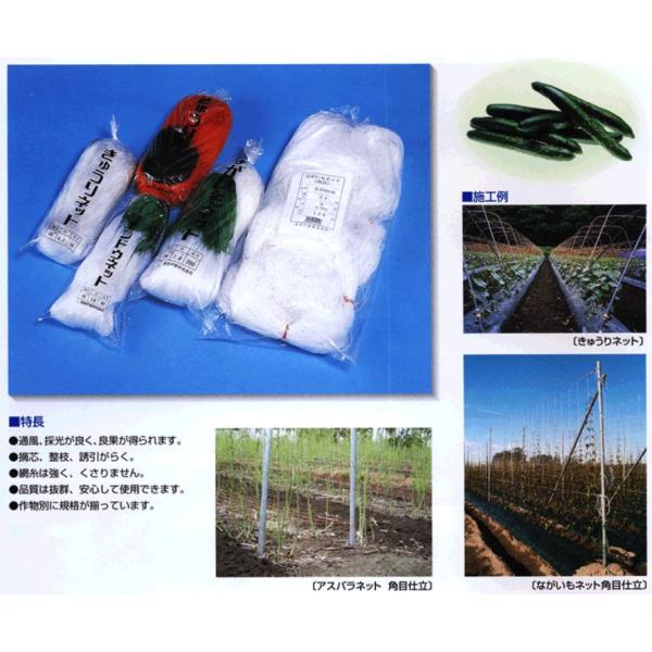 きゅうりネットです。