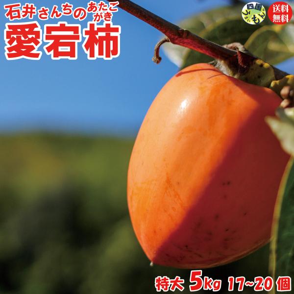 香川県三豊市産愛宕柿！絶賛出荷中です。お届けは10月下旬頃より開始いたします。愛宕柿は、干し柿・あわせ柿専用として有名な品種で最高級の干し柿が作れます。石井さんちの愛宕柿は大玉・中玉厳選、キズなし優品をT軸付きでお届けいたします。初心者の方...