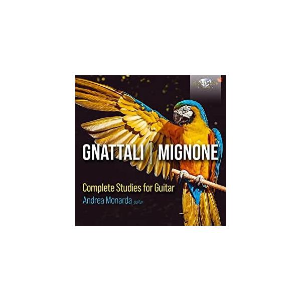 【島村管理コード：15120221004】