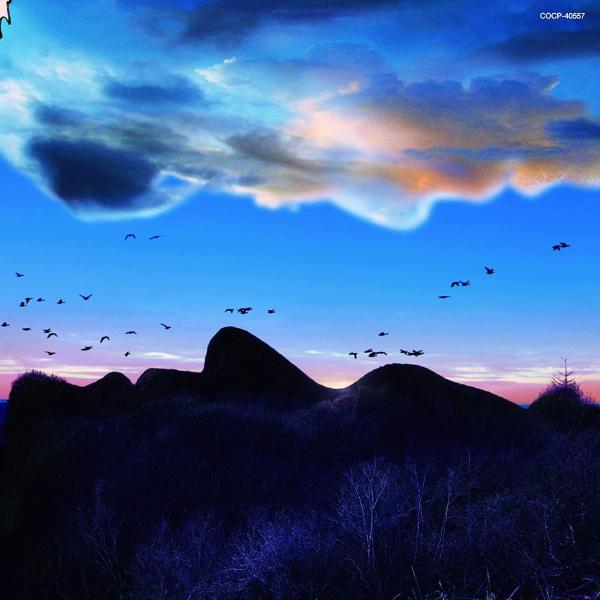 【島村管理コード：15120221205】