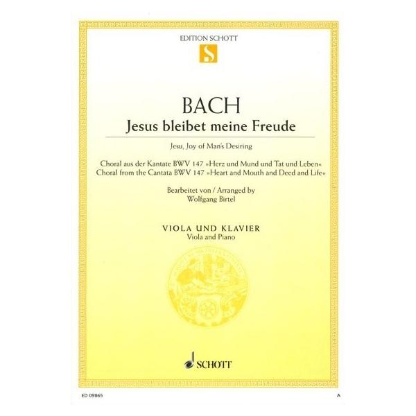 【島村管理コード：15120250904】