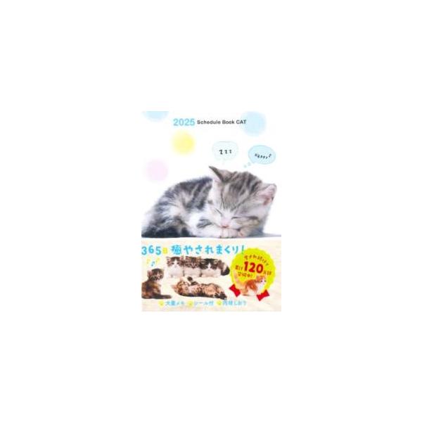 【島村管理コード：15120240903】