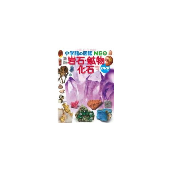 【島村管理コード：15120250313】