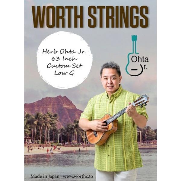 ハーブ・オオタ・ジュニア氏が使い続けてきたWorth Stringsがこの度、リニューアルいたしました！1弦のゲージサイズが 0.0224 /0.57mmから0.0244 /0.62mmへと1サイズ太くなり、よりマイルドで暖かなサウンドとな...