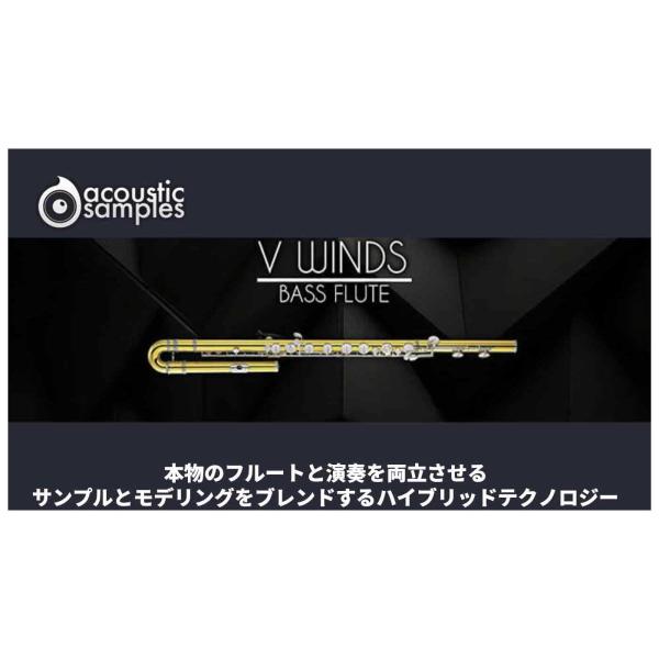 サンプルとモデリングをブレンドするハイブリッドテクノロジーこの楽器の肝は実際の楽器の響きとフィールを再現するハイブリッド構造です。AcousticSamplesは創業以来、実存する楽器のバーチャル化に勤めてきたメーカーです。そのあくなき探究...