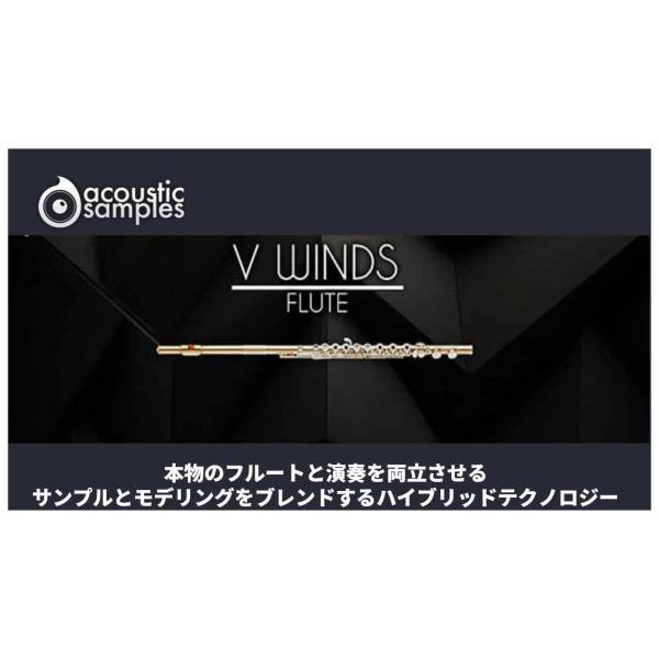 サンプルとモデリングをブレンドするハイブリッドテクノロジーこの楽器の肝は実際の楽器の響きとフィールを再現するハイブリッド構造です。AcousticSamplesは創業以来、実存する楽器のバーチャル化に勤めてきたメーカーです。そのあくなき探究...