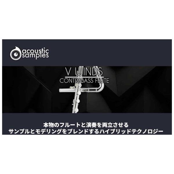 サンプルとモデリングをブレンドするハイブリッドテクノロジーこの楽器の肝は実際の楽器の響きとフィールを再現するハイブリッド構造です。AcousticSamplesは創業以来、実存する楽器のバーチャル化に勤めてきたメーカーです。そのあくなき探究...