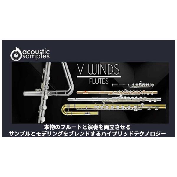 サンプルとモデリングをブレンドするハイブリッドテクノロジーサンプリングとモデリングの出会いVWindsシリーズ最後のオーケストラ・セクションがついに登場しました！VWinds Flutesは、個別に録音された精巧な9つの楽器から構成される、...