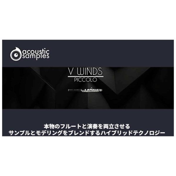 サンプルとモデリングをブレンドするハイブリッドテクノロジーこの楽器の肝は実際の楽器の響きとフィールを再現するハイブリッド構造です。AcousticSamplesは創業以来、実存する楽器のバーチャル化に勤めてきたメーカーです。そのあくなき探究...