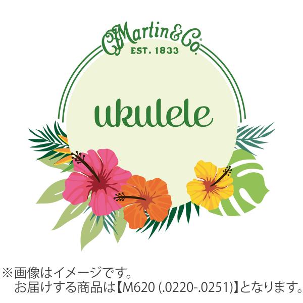 UKULELE STRINGSマーティンのウクレレ弦は、優れたチューニングの安定性と温かみのあるクリアな音色を提供します。フロロカーボンはチューニングの安定性と、豊かな倍音を実現します。Clear Fluorocarbonソプラノ／テナー用...