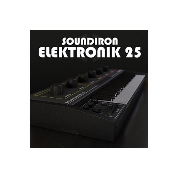 『ELEKTRONIK 25』は、旧ソビエト連邦で製造された歴史的なシンセサイザー“Elektronika EM-25“のサウンドを再現したライブラリです。“Elektronika EM-25“の実機は弦楽器／オルガン／金管楽器の要素を兼ね...