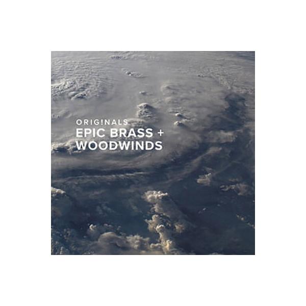 Spitfire Audio社ベストセラー総合音源「Albion One」の初期バージョンサンプルを元に簡素化を行い、6つの基本的なアーティキュレーションを収録したブラス/ウッドウィンズ音源です。・ロンドンの名プレイヤーを招集・同社ハイクラ...