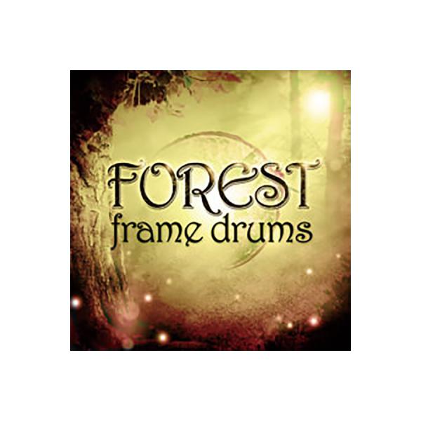 作曲家視点で制作することをスローガンに掲げるImpact Soundworksが送り出す『FOREST FRAME DRUMS』は、壮大な風景を連想させるサウンドトラック向けパーカッション音源です。3種類のハンドメイド・パーカッション：Pr...