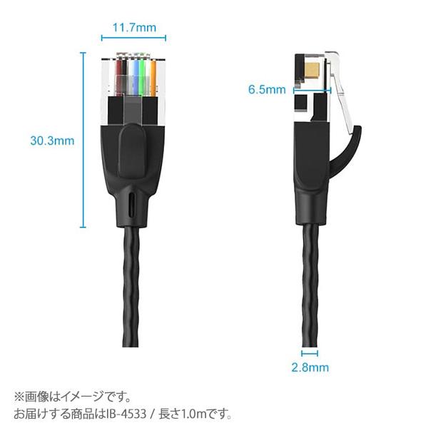 コネクター　：RJ45バージョン　：Cat. 6Aインターフェイス　：金メッキコンダクター　：無酸素銅ジャケット　：PVCAWG　：32AWGOD　：2.8mm保証　：1年パッケージ　：PEバッグ