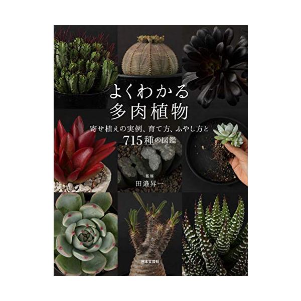 「商品情報」多肉植物の育て方、楽しみ方を紹介。寄せ植えは、基本のテクニックやバリエーションを手順つきでくわしく解説。寄せ植えの著作もある丸山美夏さんが制作します。育て方の基礎知識は、どこに置くか、などの基本から水やり、施肥、季節ごとの手入れ...